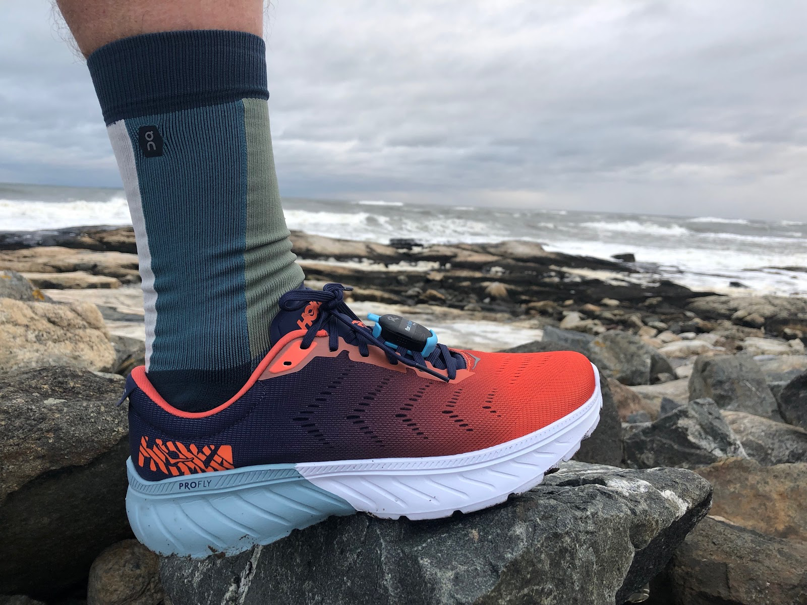 Road Trail Run: Road Trail Run Year in Review & Sam's Running Shoes and ...