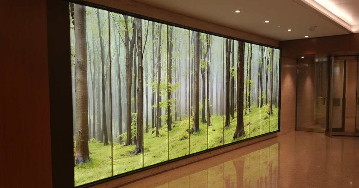 LED Light Boxes: The different colours of custom light box lights