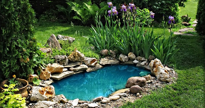 Make a mini lake in the garden ~ Wonderful Flowers