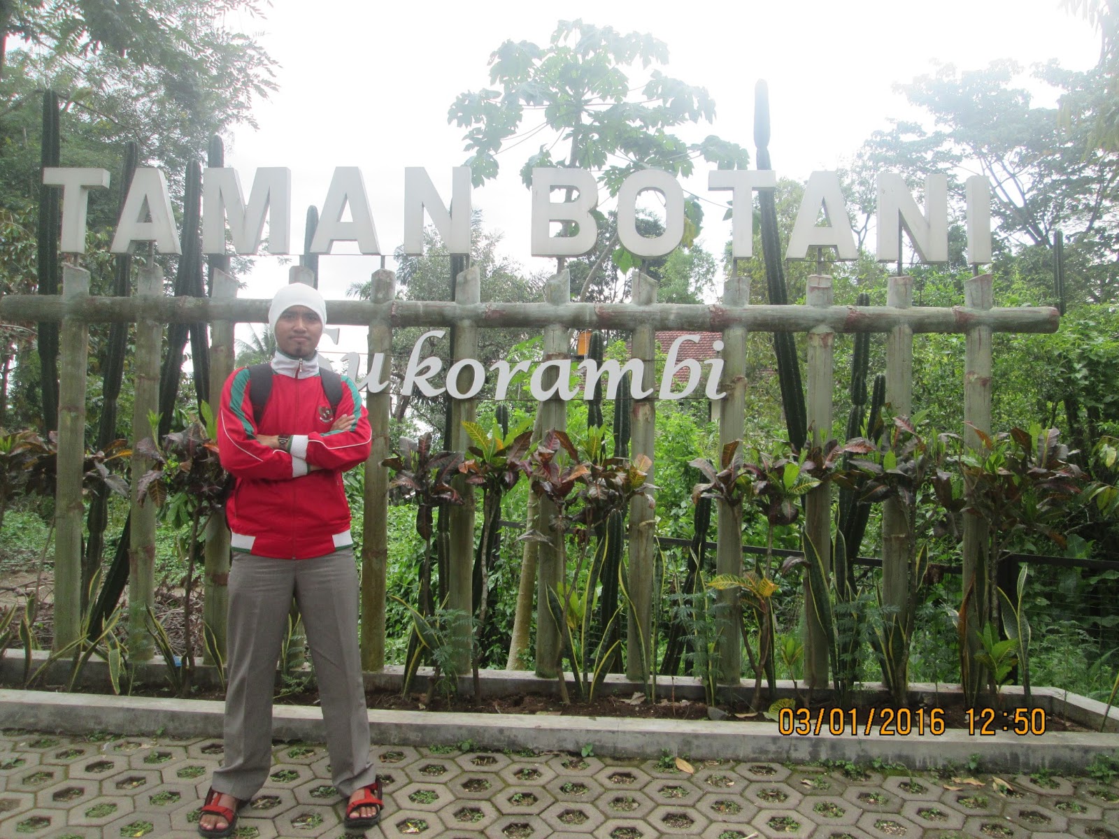 Galeri Wisata Salam Astutik: TAMAN BOTANI SUKORAMBI JEMBER