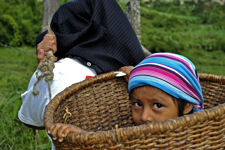 Video Karmatarrua Tierra Pringamosa
