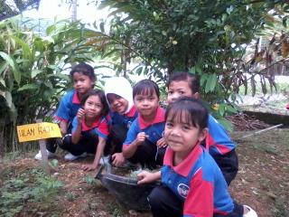 PRASEKOLAH SERI MAWAR, SK.JENIANG(PUSAT): Memori Mawar