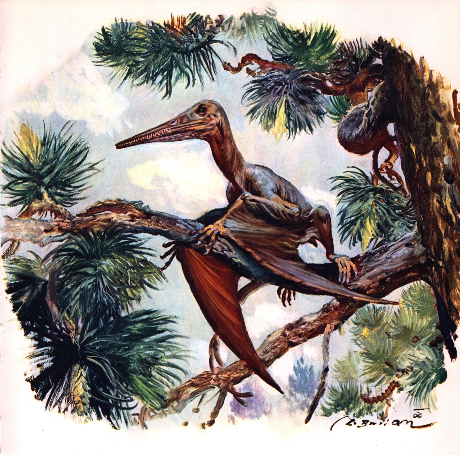 January | 2013 | The Pterosaur Heresies