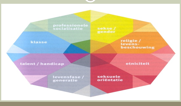OLP 4: Diversiteit en ouderen: Terugblik/vooruitblik