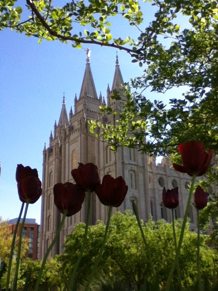 Summer Snow: Temple Spires