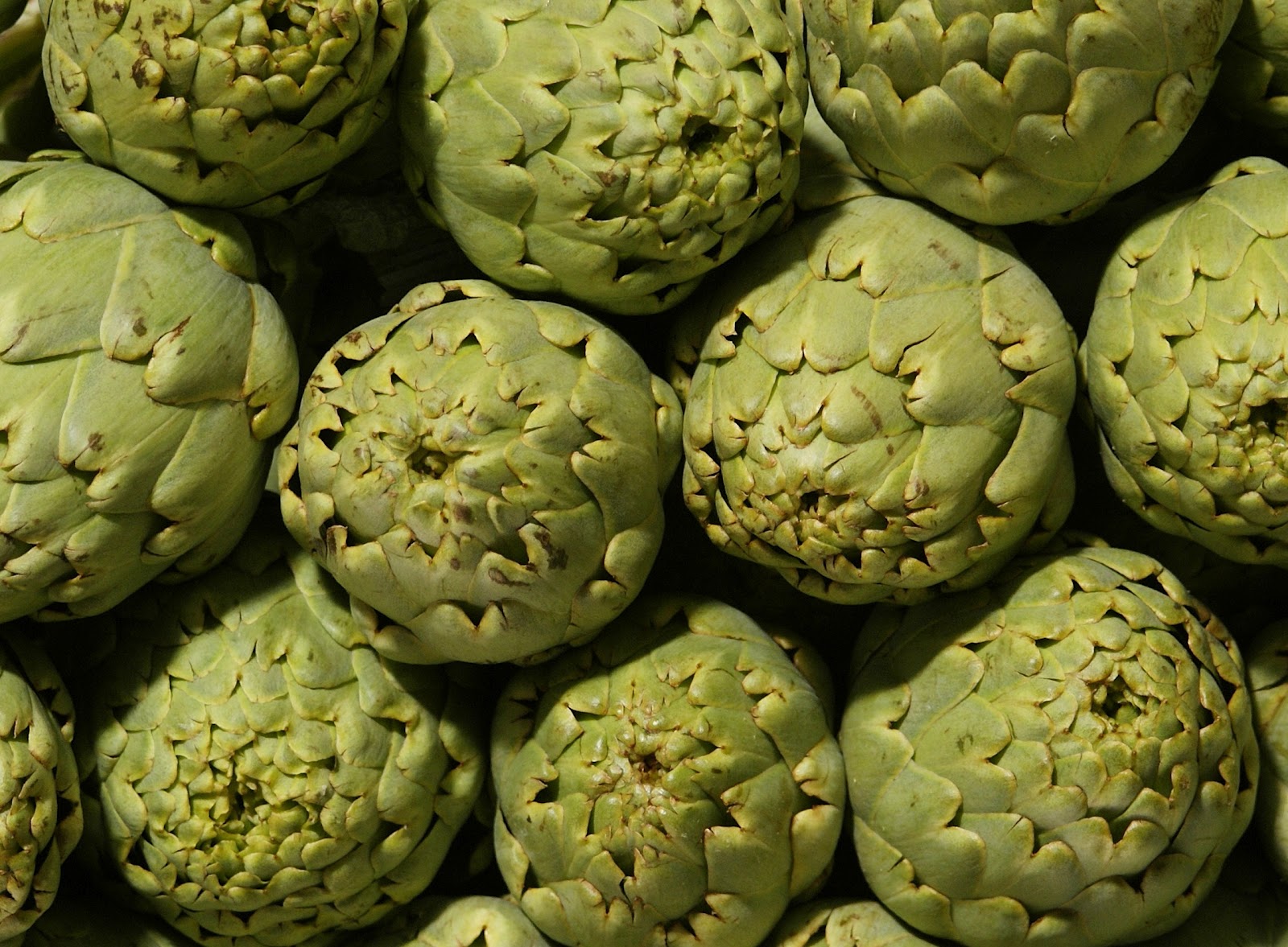 Mis Jovis Plantas y Fotos: ALCACHOFAS Y SUS PROPIEDADES PARA ADELGAZAR