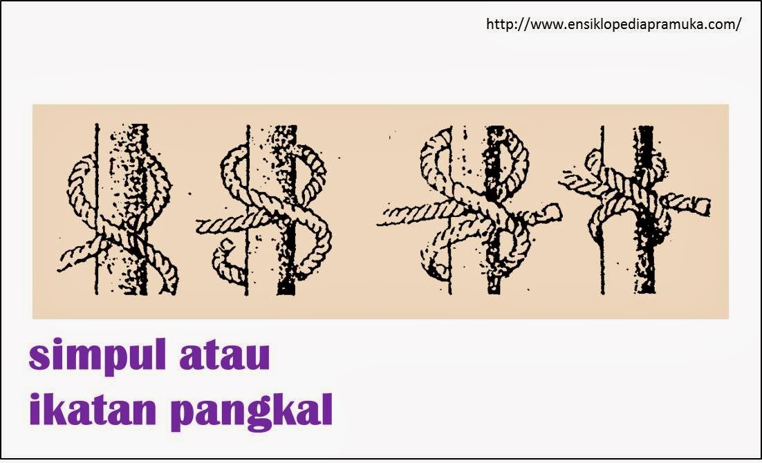 Sejarah Pramuka: Berkemah : Simpul & Ikatan Tali Untuk Mendirikan Tenda