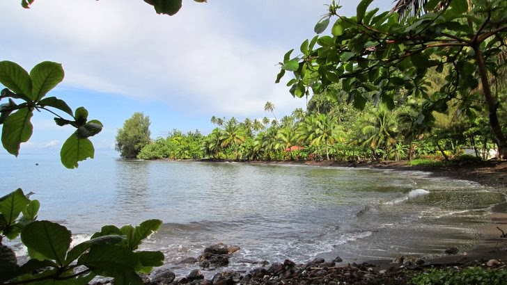 Littoral de Tautira - Le Fenua Aihere