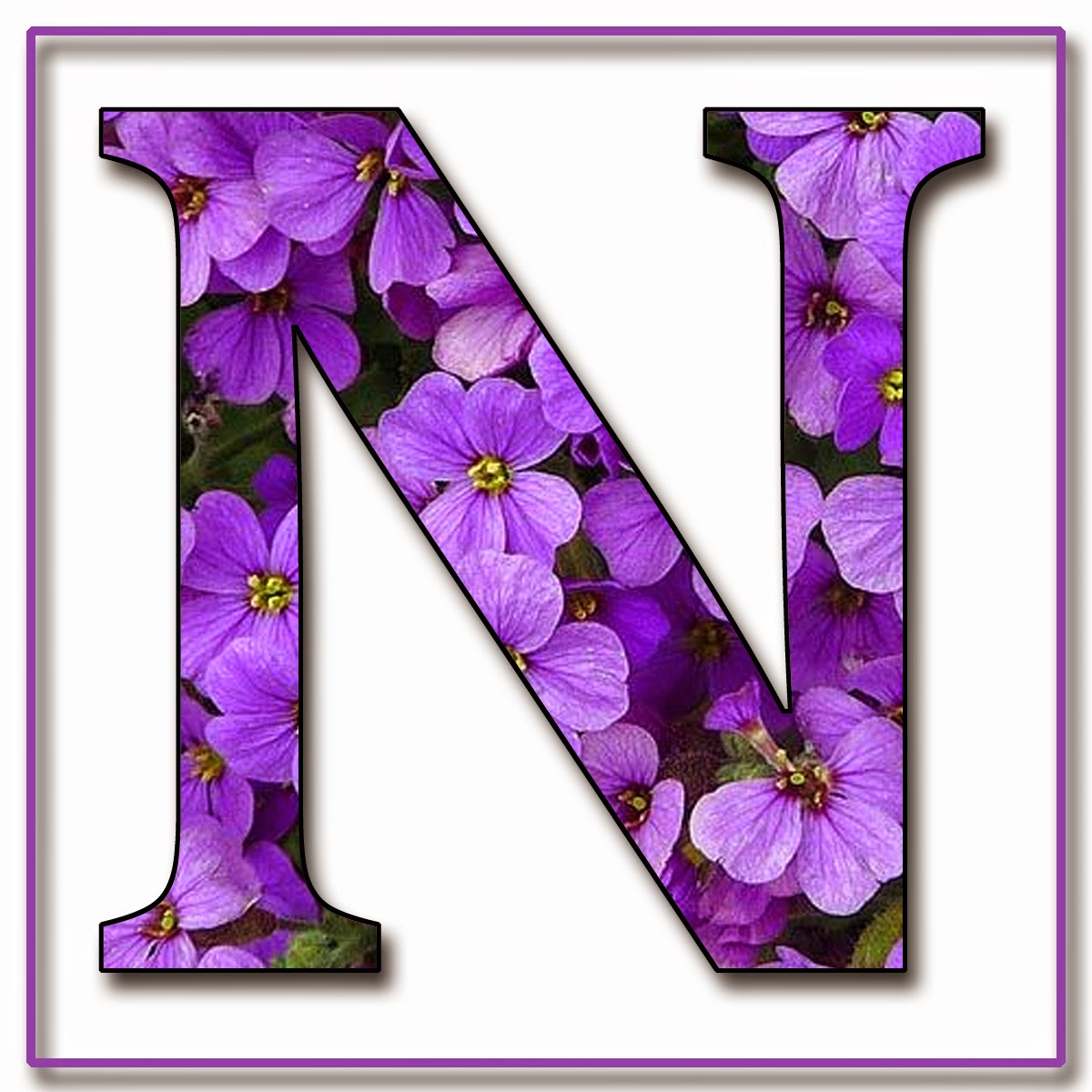 SGBlogosfera. María José Argüeso: DE VIOLETAS