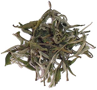 The Tea Horse Caravan: White Tea