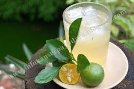 InfoKanserPayudara: Sihat Dengan Limau Kasturi