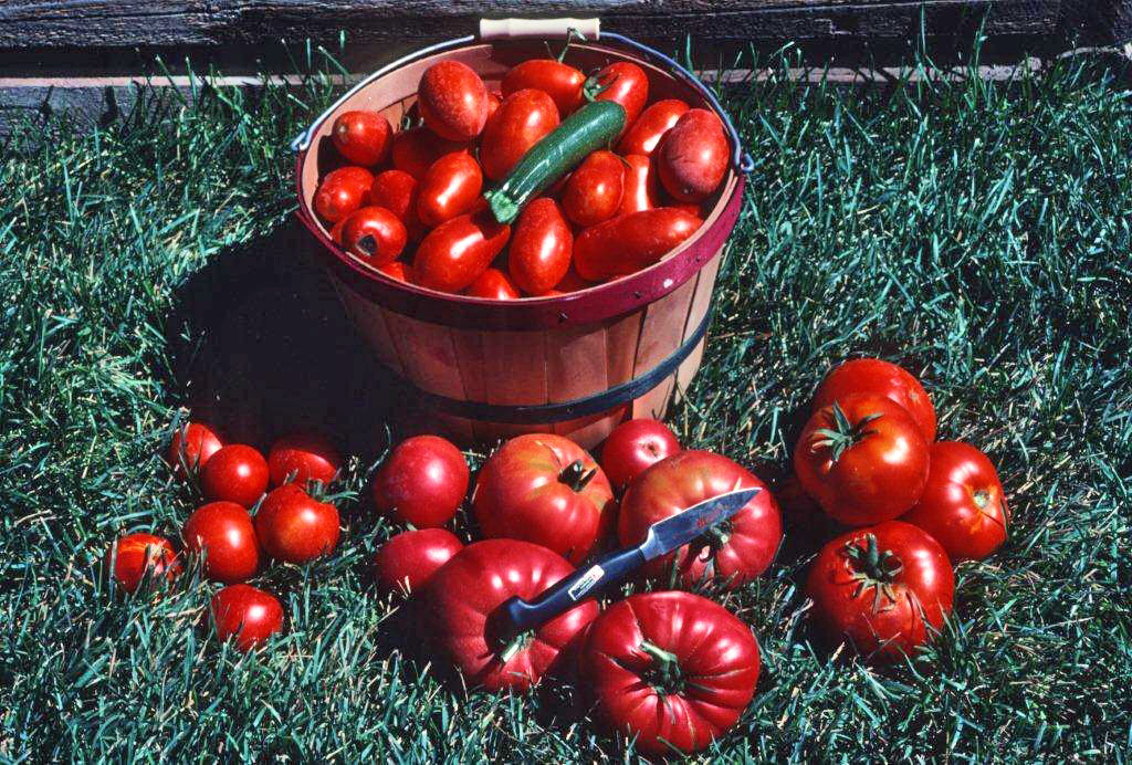 HomeCountry: FROM “BOXCAR WILLIE” TO “RADIATOR CHARLIE” Testing Tasty ...