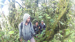 Gunung barus atau Deleng Barus Tanah Karo, Sumatera utara