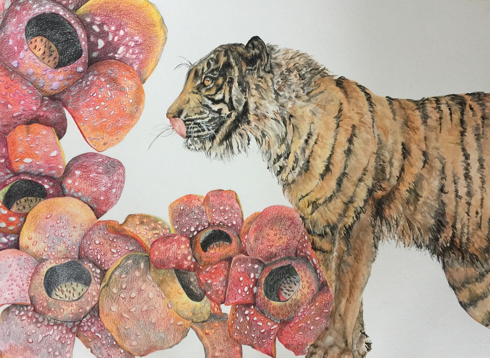 Tamara Coleman: PAINTINGS/DRAWINGS