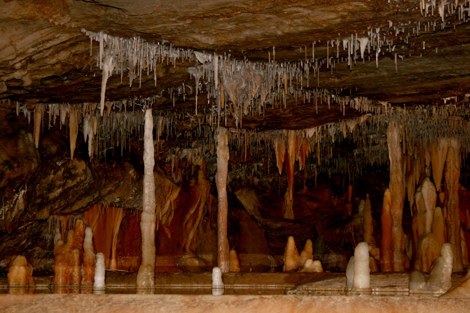 Catheryn of Albany: Buchan Caves, Victoria