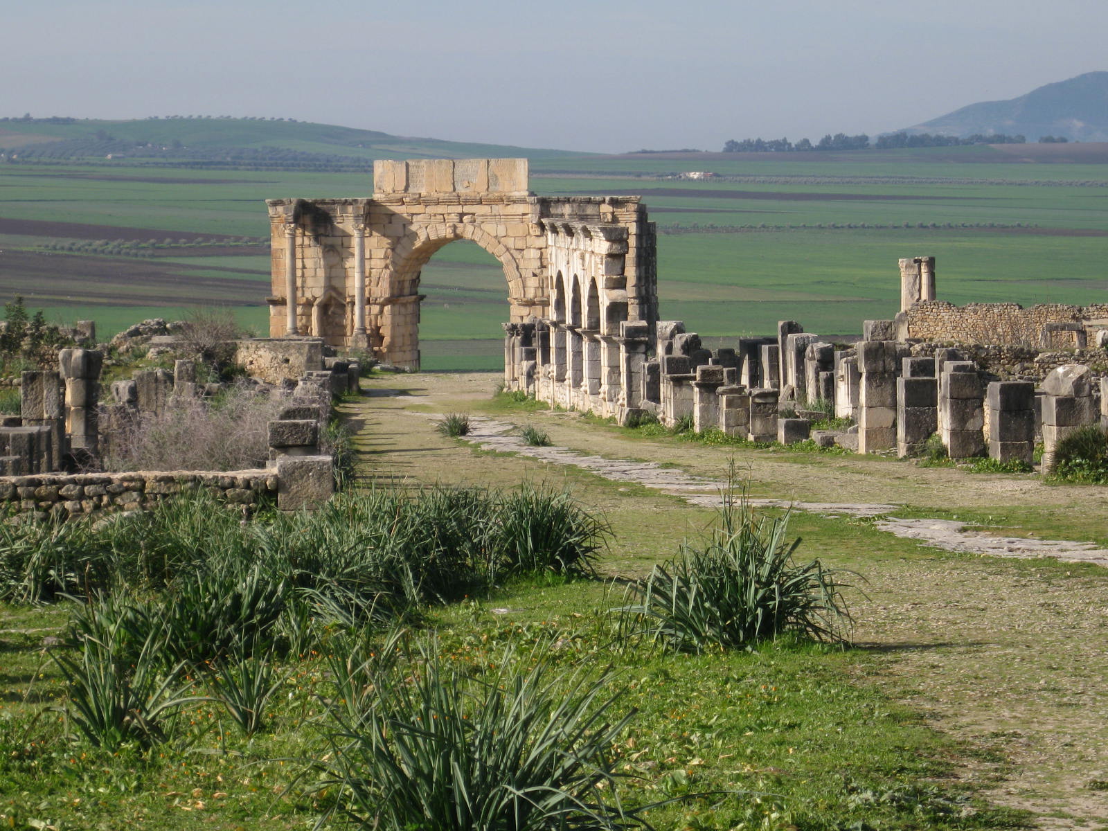A Moroccan Safari: Day 6.........Wilderness to Fez via Meknes