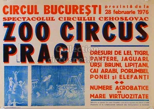 CIRCUS ART: AFISE si PROGRAME DE SALA CIRCUL DE STAT