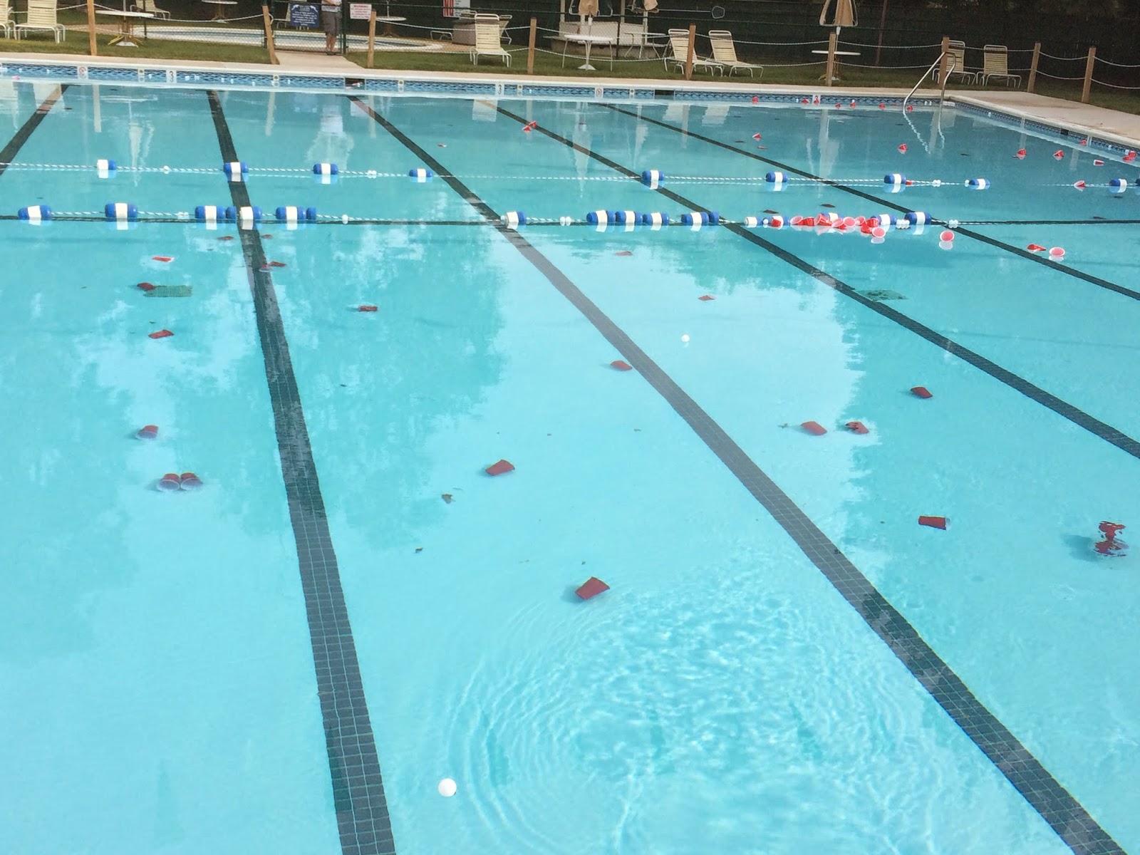 Top Knot: Weekend Recap