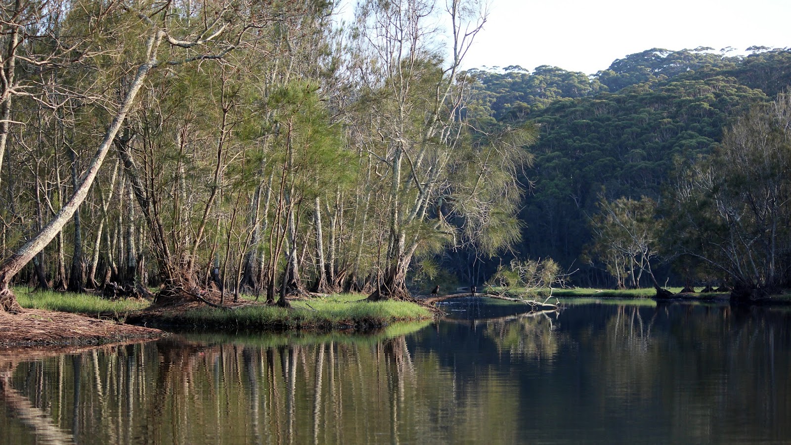 ROCK'S ADVENTURES: CENTRAL COAST - 'BIRDS OF AVOCA LAGOON' - KAYAK - 9 ...