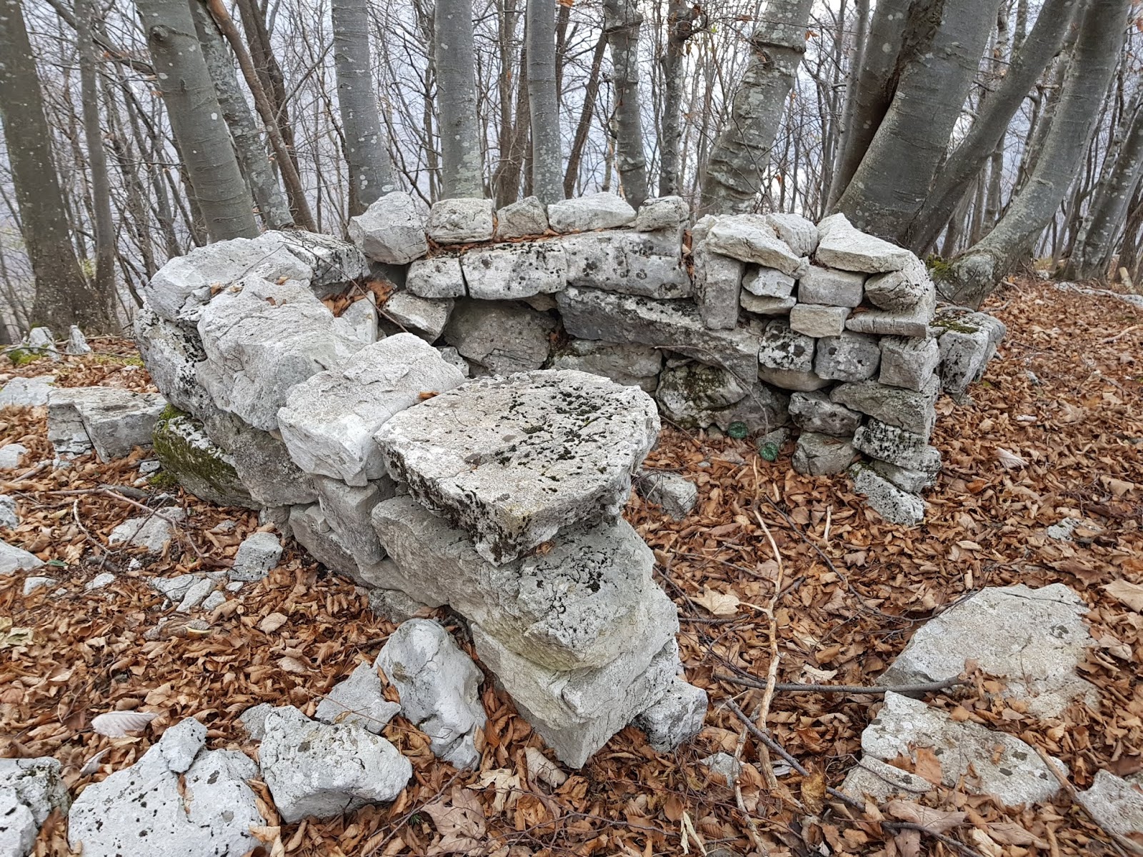 Su strade e sentieri: COL D'ASTIAGO (m. 1.241) - SENTIERO DEL VU - Val ...