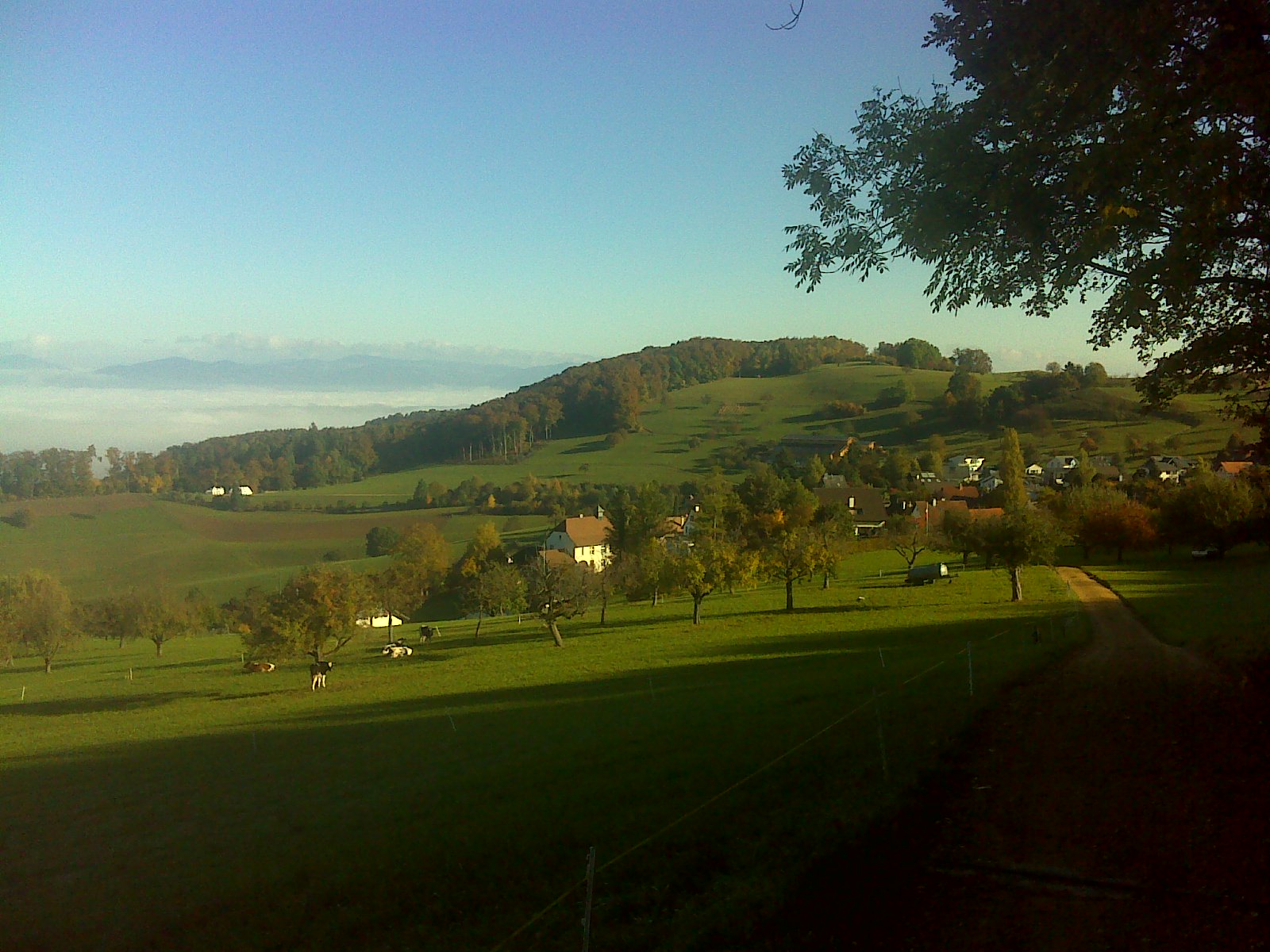 Projekt Gemeindewandern Schweiz: Wanderung Sissach-Frenkendorf