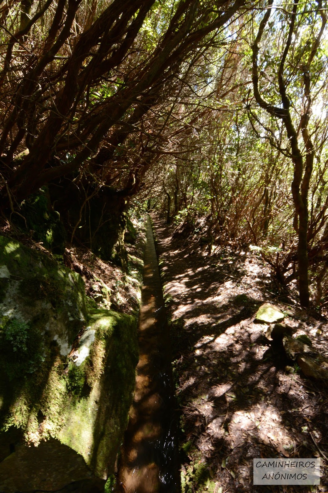Caminheiros Anónimos Levadas da Madeira : Levada Grande (Achadas da Cruz)