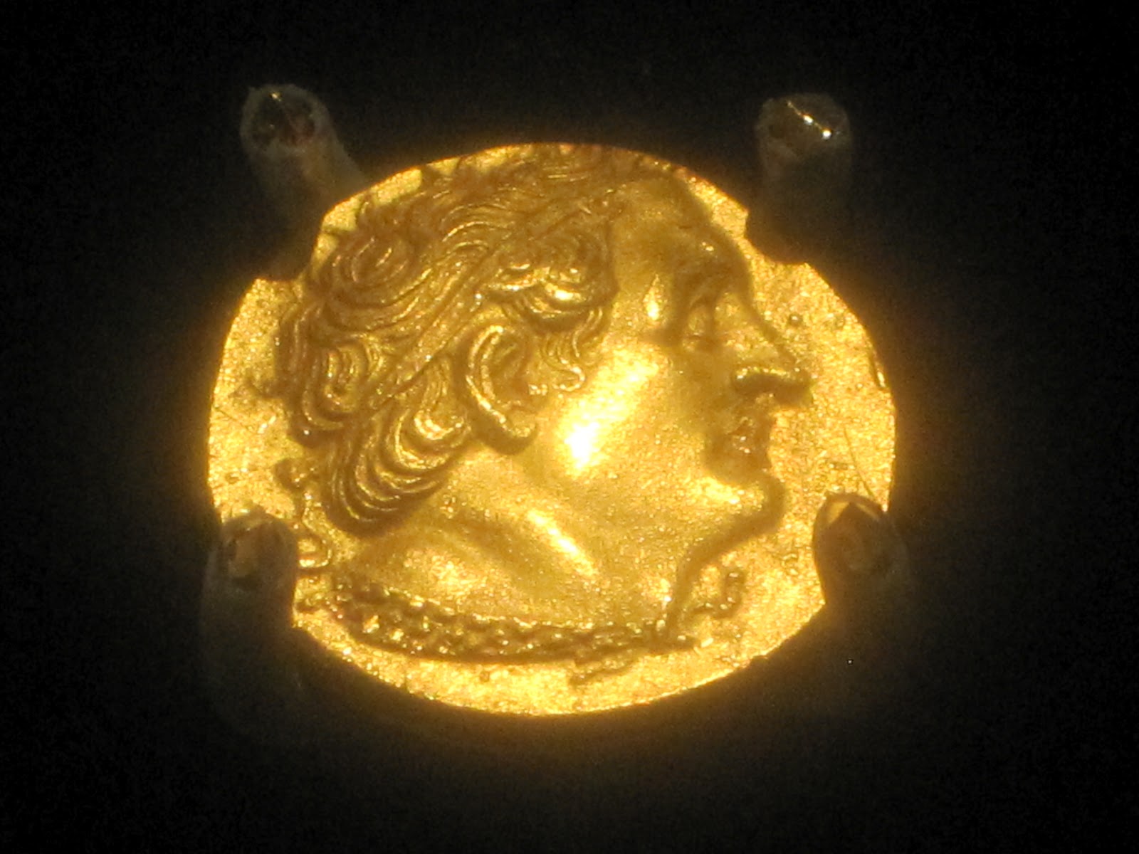 Cleopatra - California Science Center