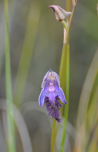 Stories from Blue Hill Escape: Cool Karma in the Kammanassie