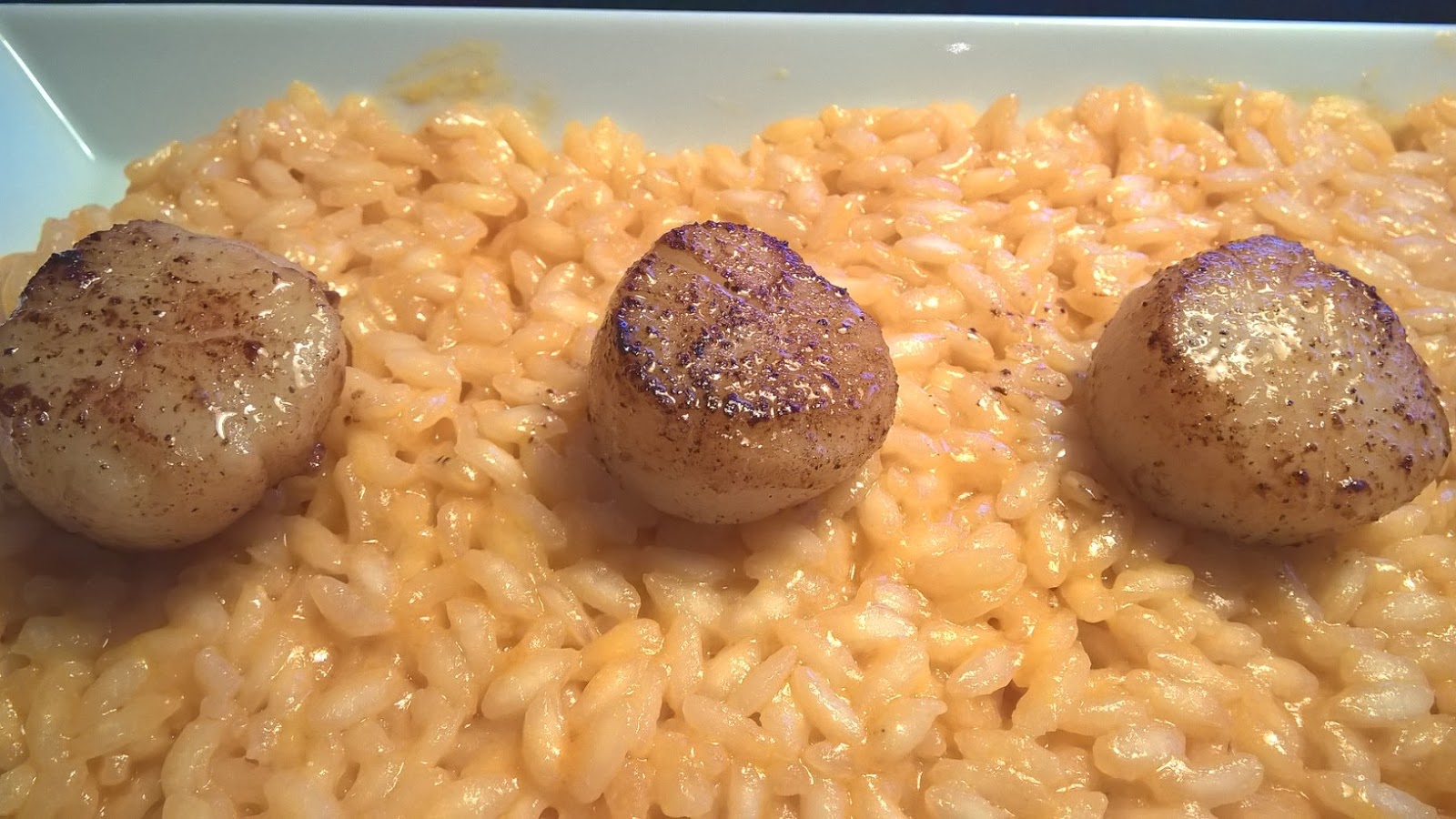 Jokkerin ruokatorvi: Hummeririsottoa ja kampasimpukkaa