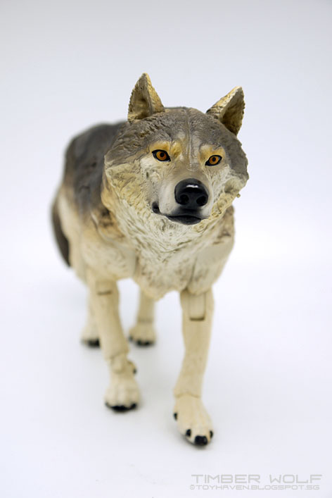 toyhaven: Every dog has its day and G.I. Joe's Snake Eyes pet wolf 1/6 ...