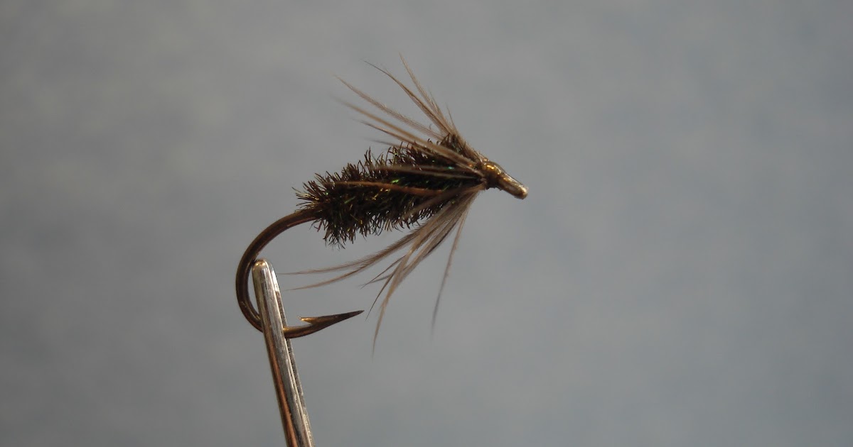SOFT HACKLES, TIGHT LINES: Black Snipe
