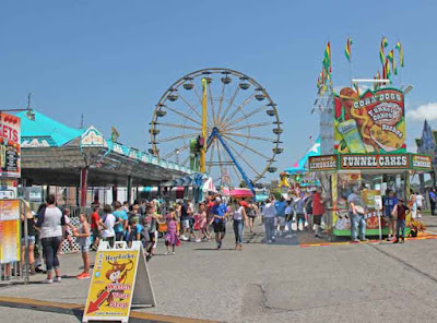 Jim Long's Garden: Missouri State Fair 2017