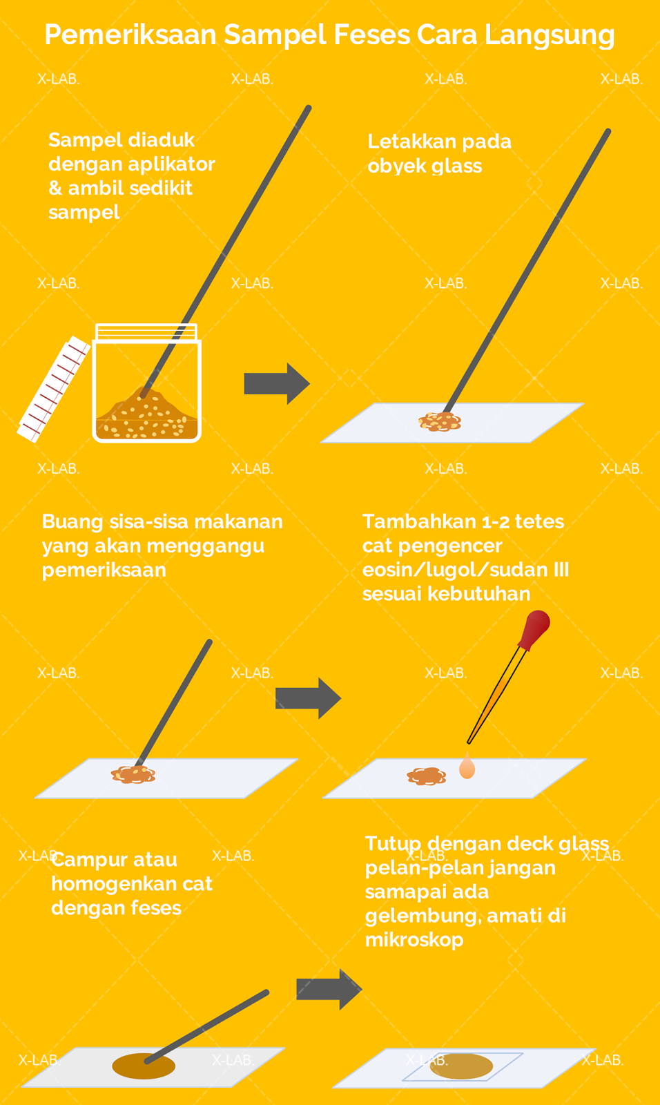Pemeriksaan Telur Cacing Cara Langsung dari Sampel Feses — Online Text ...