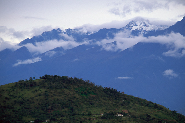Paleontología en Venezuela: El levantamiento de los Andes mató a los ...