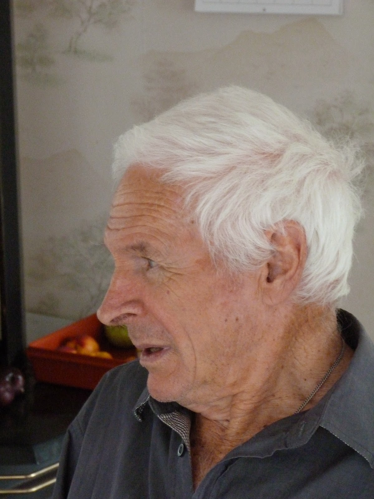 Woolshed 1: New Zealand agricultural history. No 15. Importing exotic ...