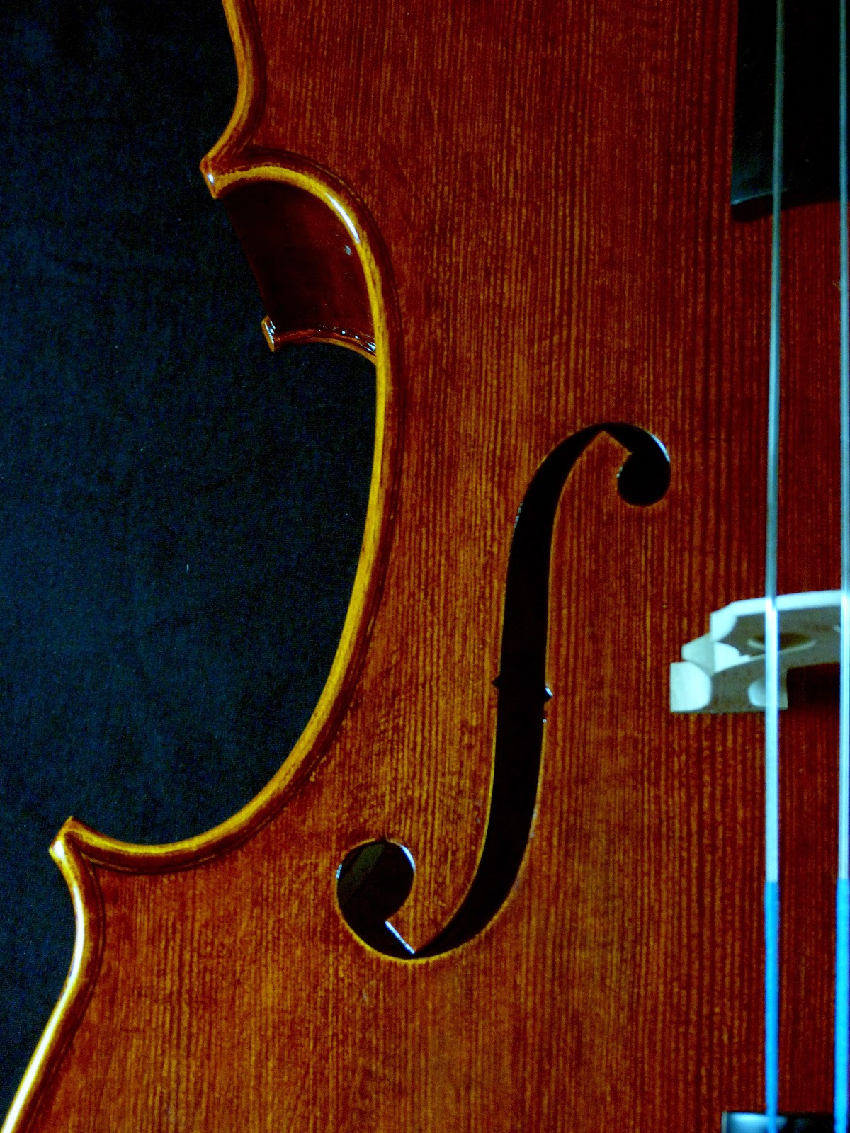 Violoncelos - Studio Liutai