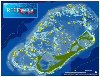Reef Watch: Empowering citizens to monitor Bermuda's reefs and fishes