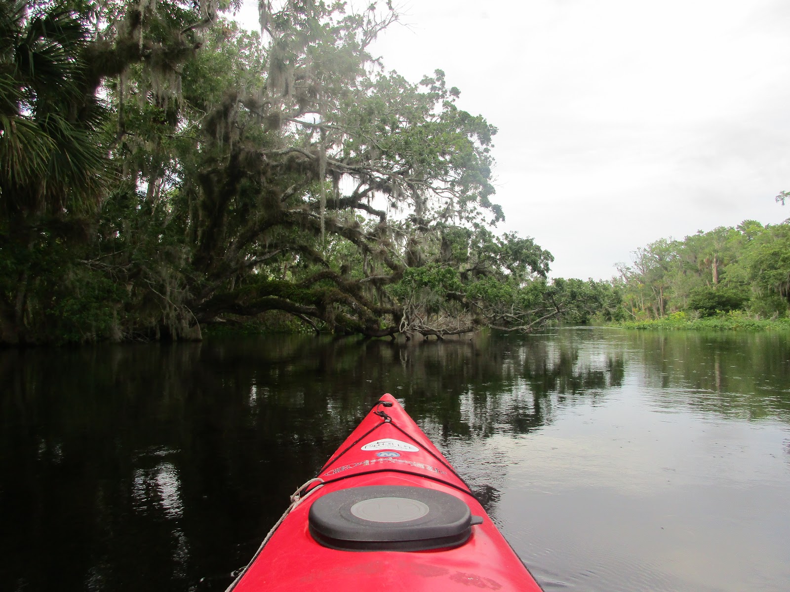 Dave's Yak Tales: Wekiva River