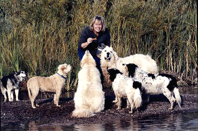 Wilde Meyer Gallery: The 19th Dog Days