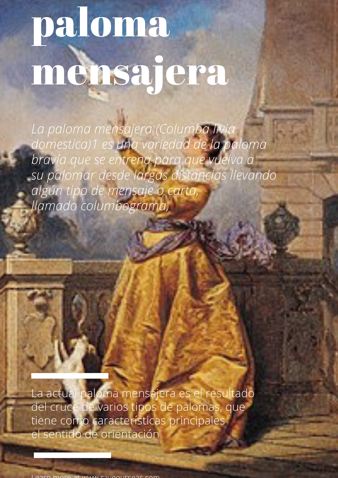 TECNOLOGIA E INFORMATICA 2018: PRIMER DESEMPEÑO PÓSTER