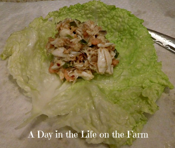 A Day in the Life on the Farm: Seafood Stuffed Cabbage Rolls # ...