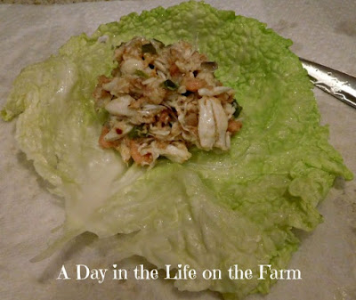 A Day in the Life on the Farm: Seafood Stuffed Cabbage Rolls # ...