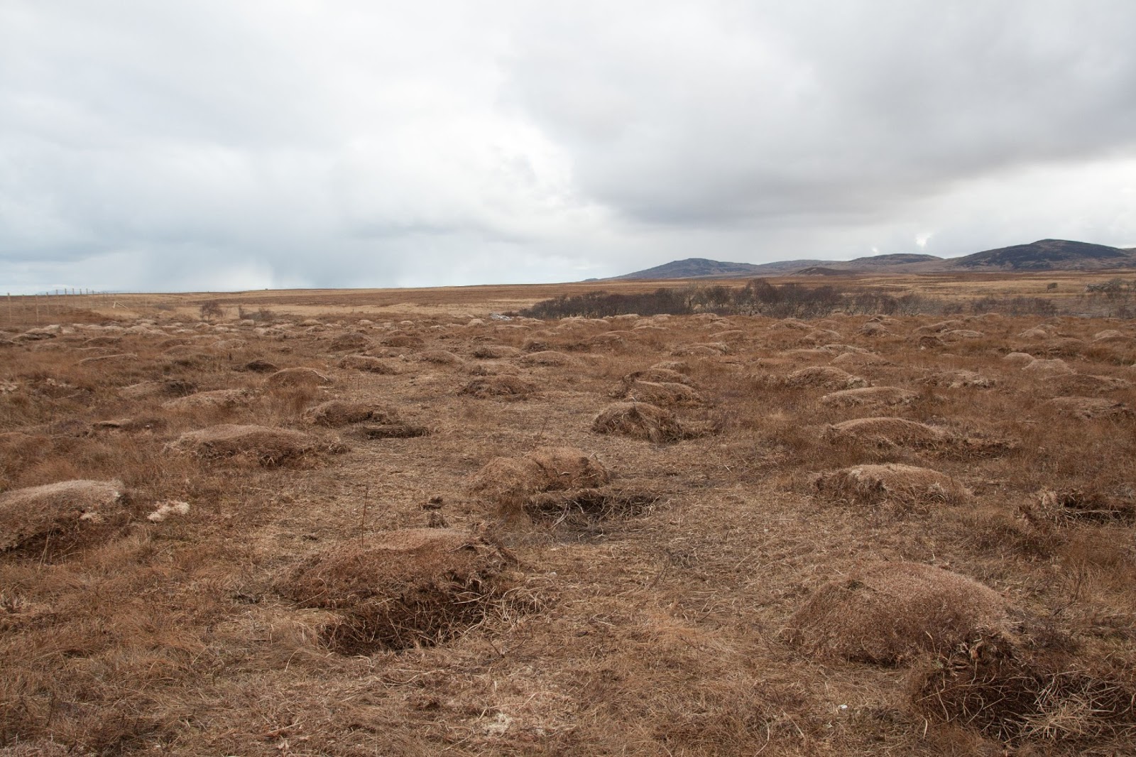 Islay Natural History Trust: Corra-ghoirtein and Coille Mhòr