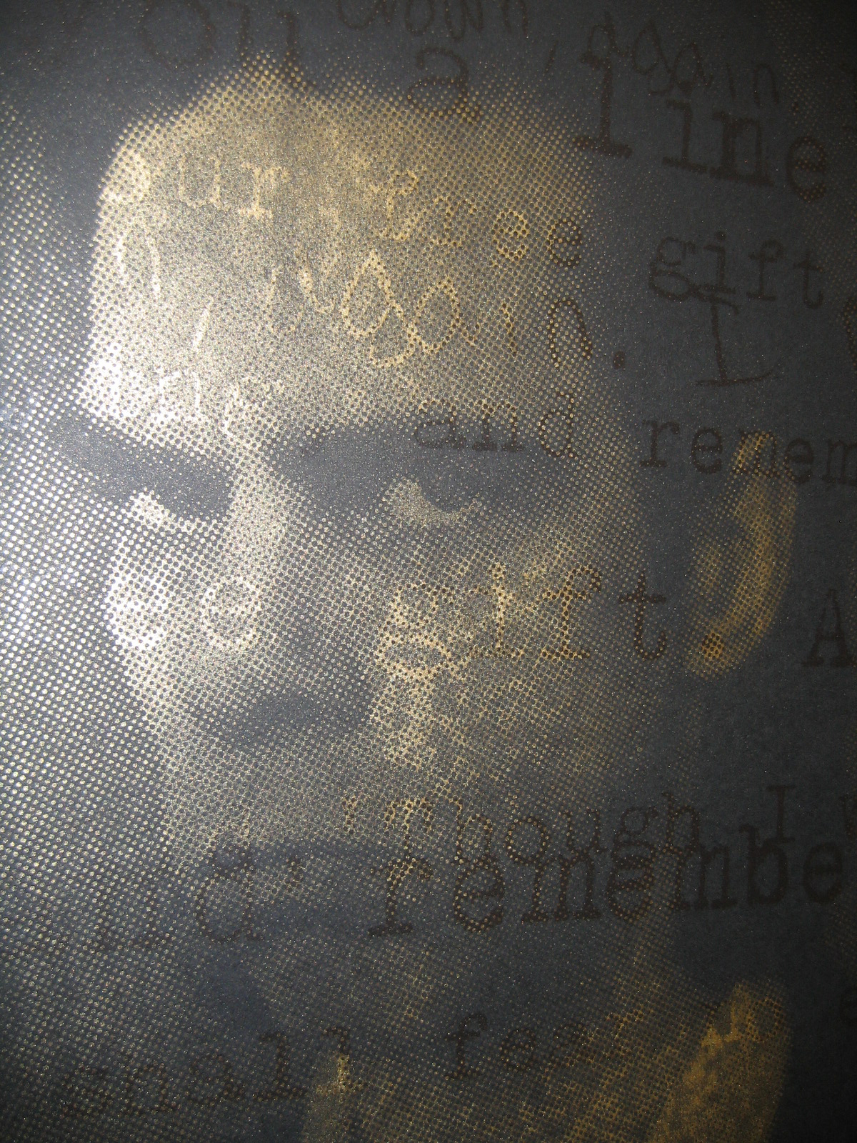 Danny Amos Flynn: Screen-prints of photographs by Derek Ridgers. (2010)