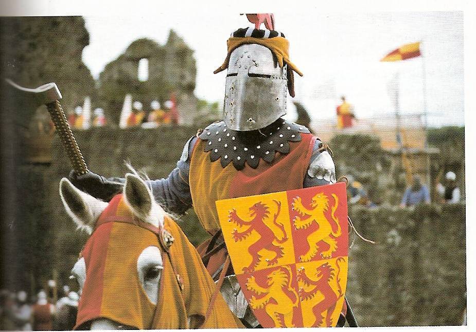 GLYNDWR 660: 1354 - 2014 Blwyddyn Goffa Genedigaeth Owain Glyndwr ...