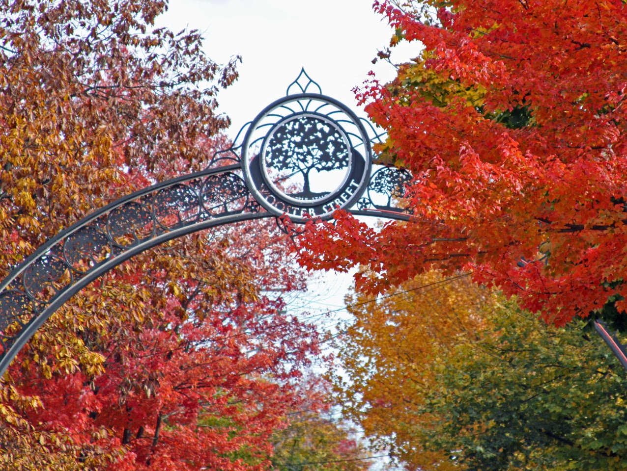 Wooster Square Blossom Blog: Historic Wooster Square: The Year in ...