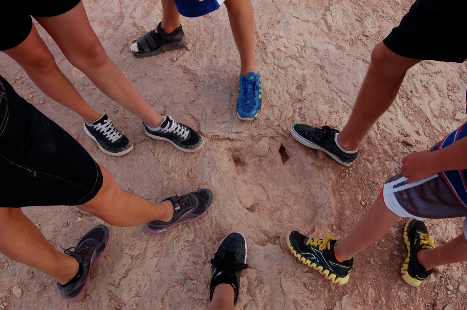 Take Them Traveling!: Fossilized Dinosaur Footprints... and the ...