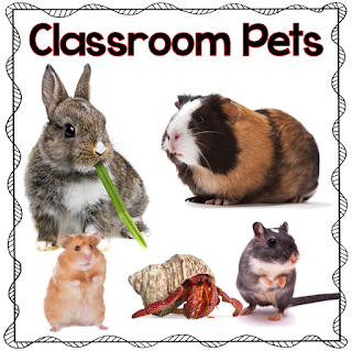 Herding Kats in Kindergarten: Instagram Links