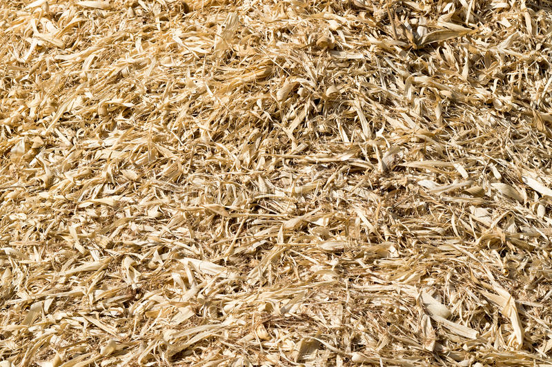 Building Our Dream Nipa Hut