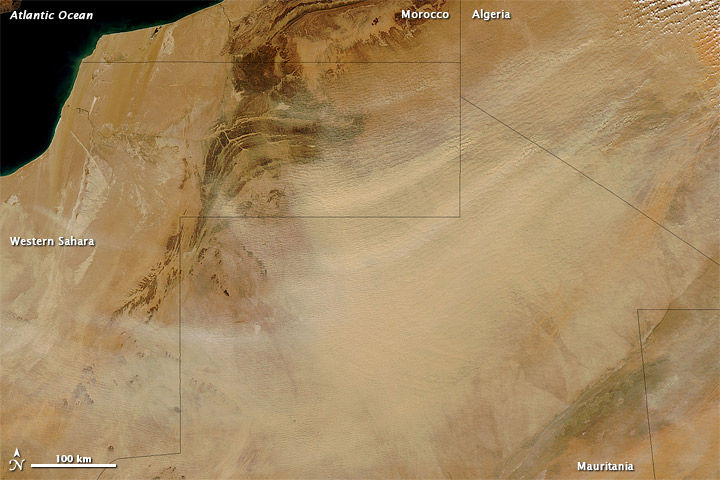 SA Weather and Disaster Observation Service: Sahara Desert Dust Storm